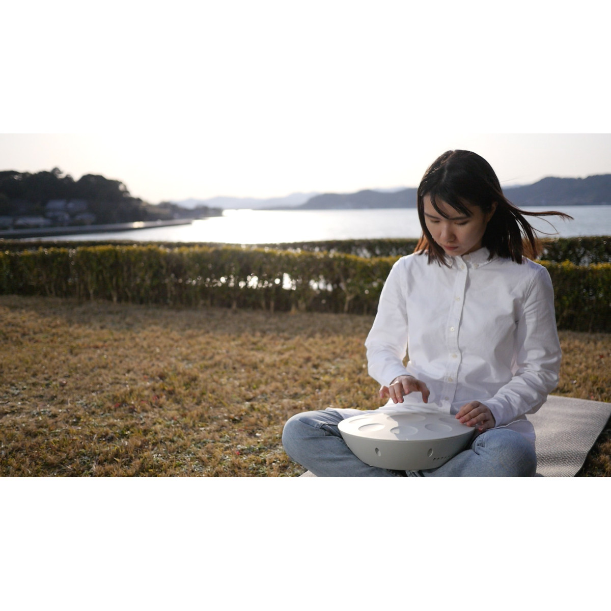 Roland MN-10 Mood Pan Handpan Electrónico, comprar online